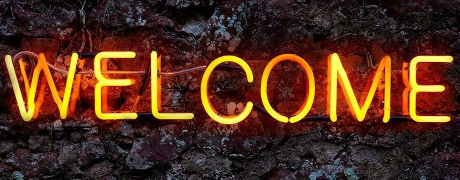 Денис Занин (kzr)