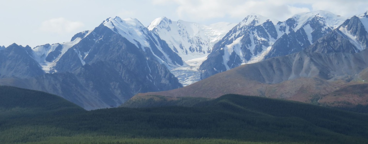 Василий М-Нива