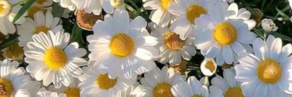 •°чернu ••рбх🦦