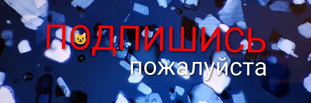 KOSHKA SHUNA i MAKS Rutube✓