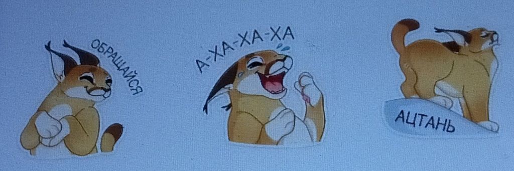 Стикеры Шлепа