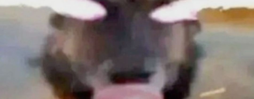 ✿✷⁠saxar✷✿⁠