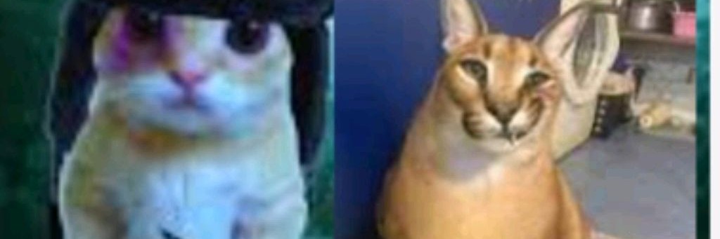 Эльгато СССР 1945☆ 🐺💜☠️🚫