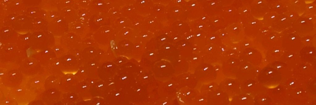 Мой Первый Блог