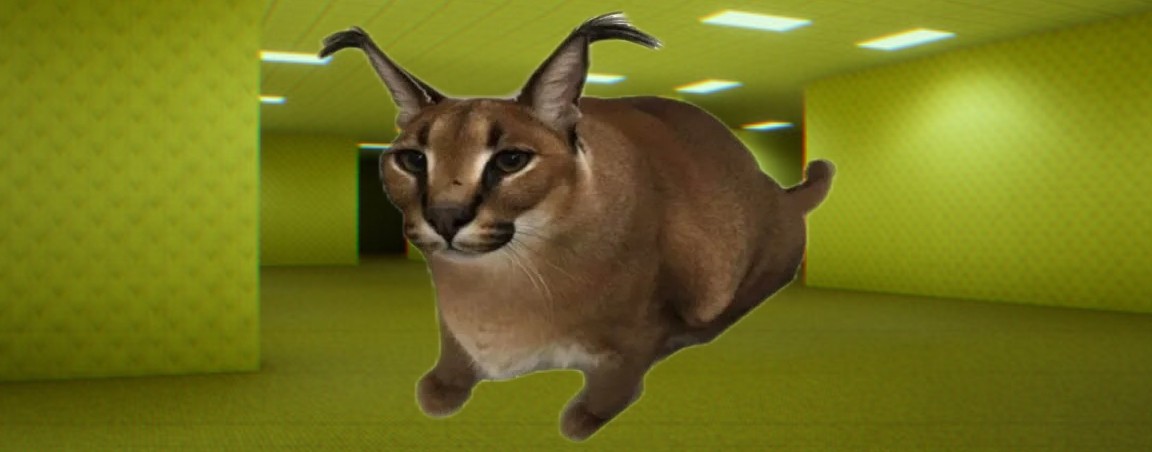 шлёпа в бекрумсе и гд