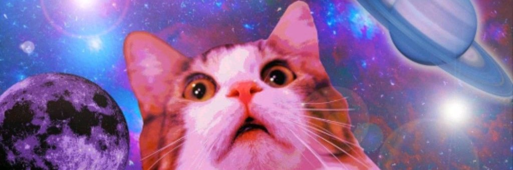 Кот Мяу Мяу 🐈 🐯🐯🐯