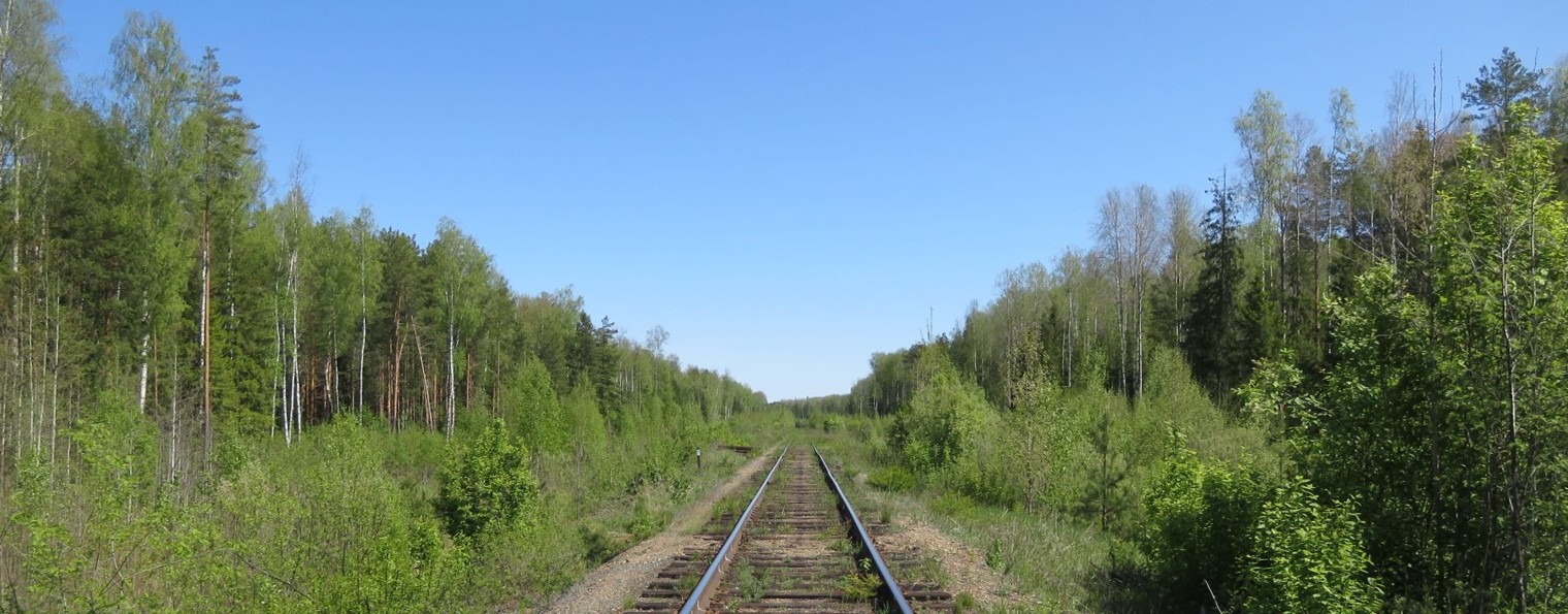 Лесная Алеся