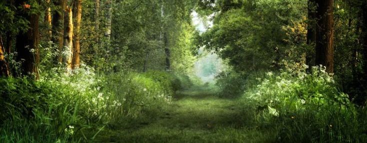 Путешествия и Автомобили