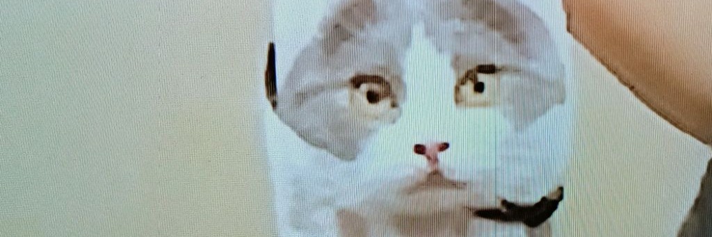 Дима Видосы