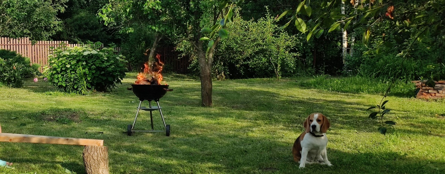 Земляничная усадьба