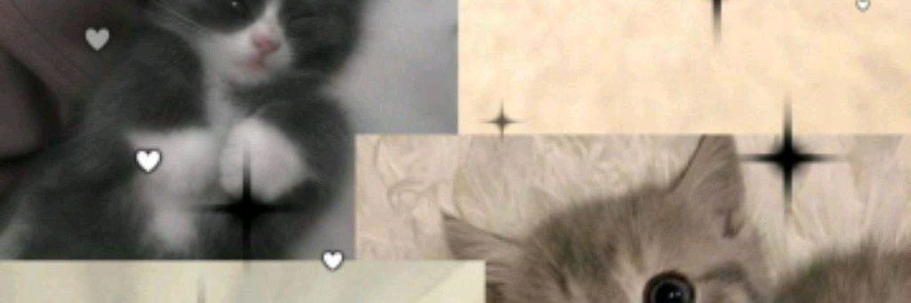 `⎚⩊⎚´ -✧Shadow of Moon КВ`⎚⩊⎚´ -✧