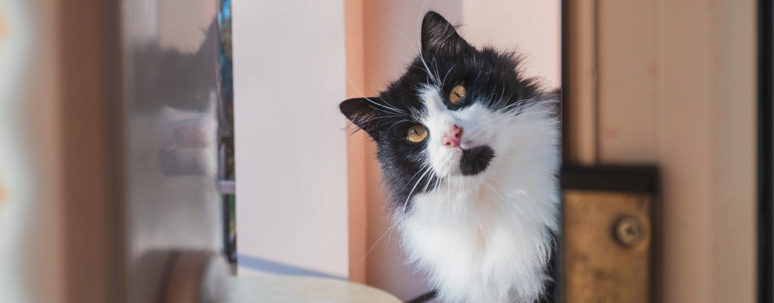 Дом Рыболова 39