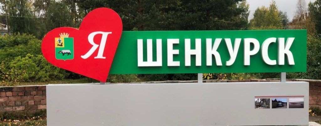 ШЕНКУРСК КИНОХРОНИКА от Александра Овчинникова