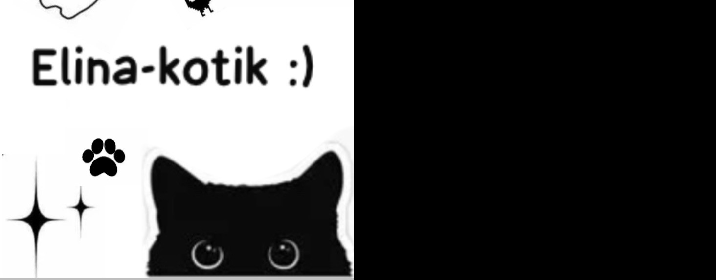 Elina-Kotik :)