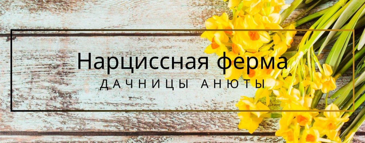 Нарциссная ферма дачницы Анюты