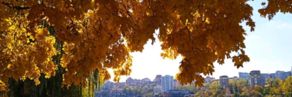 Ярослав Савостьянов