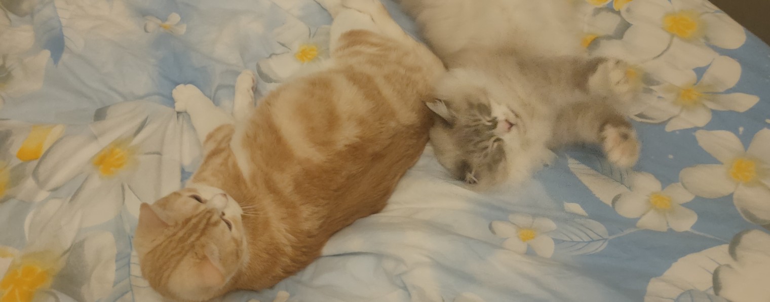 Персик и Марсик