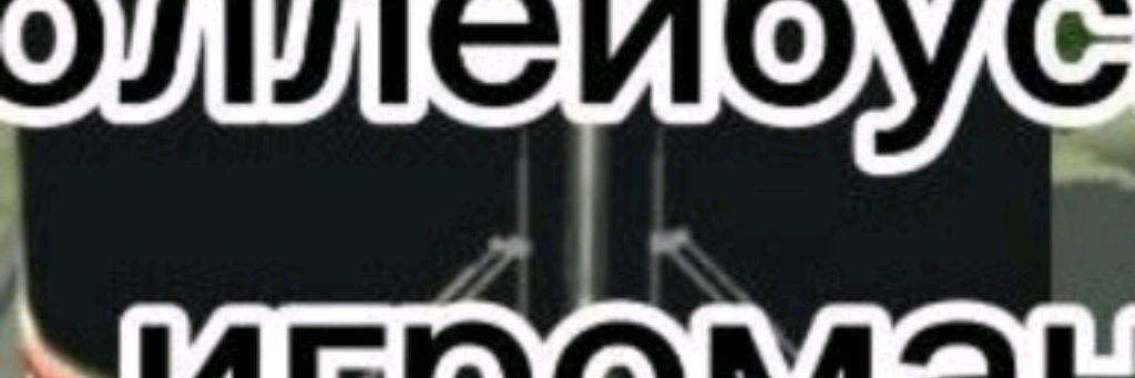 Троллейбусный и Трамвайный Игроман