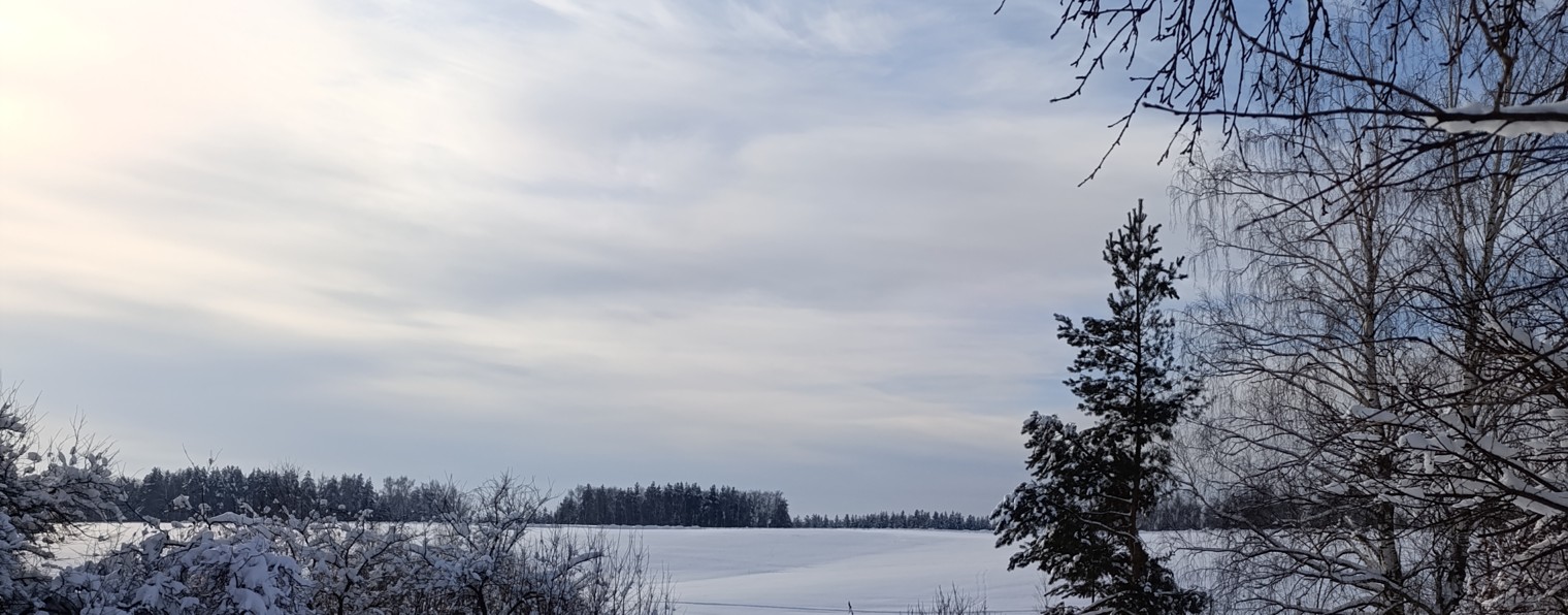 Elena Nahalovna 🍀