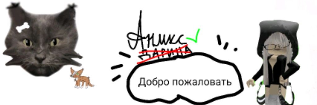 Анти Дарина❌🐱🟪