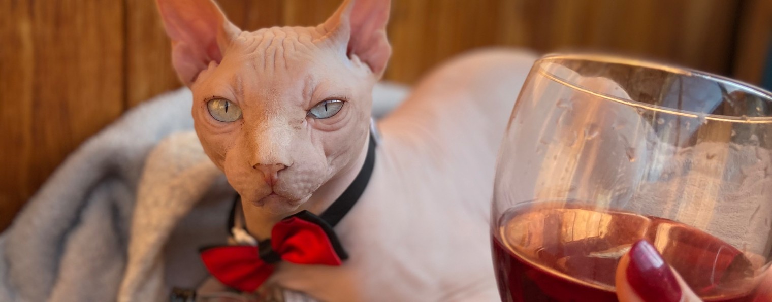 Настюшка Бу