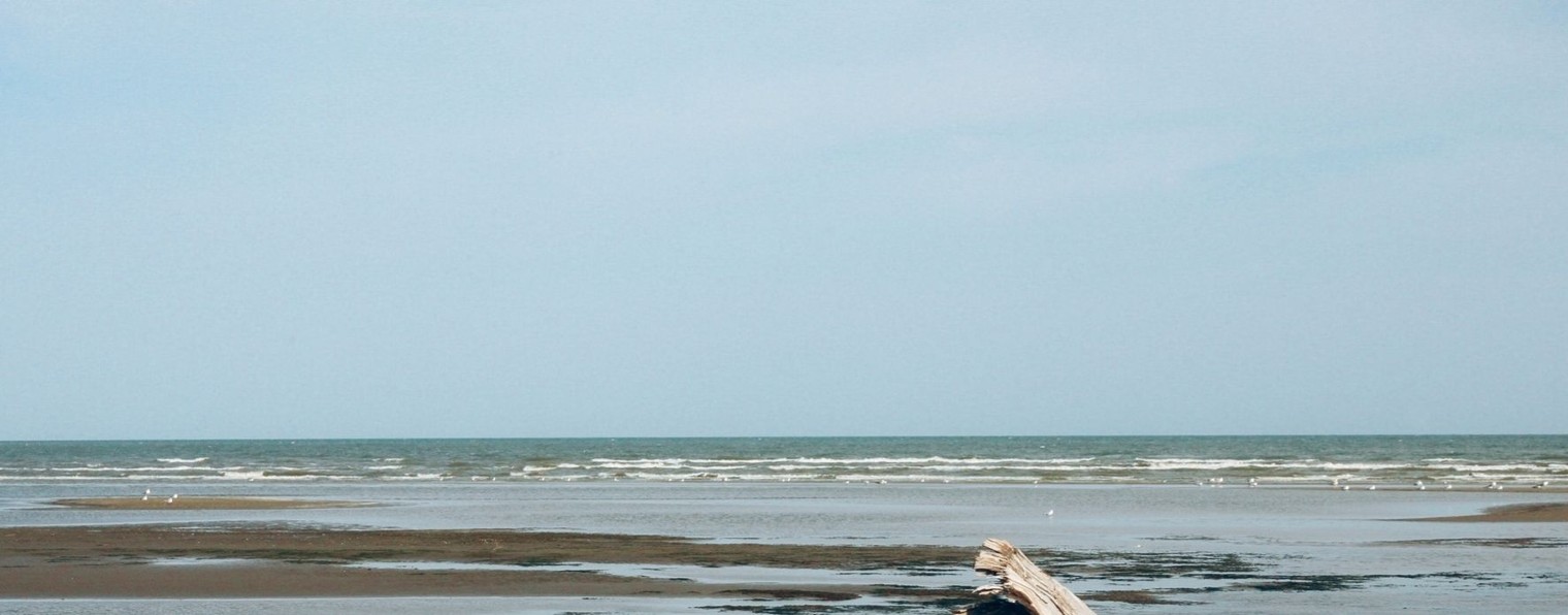 Александр Скиф