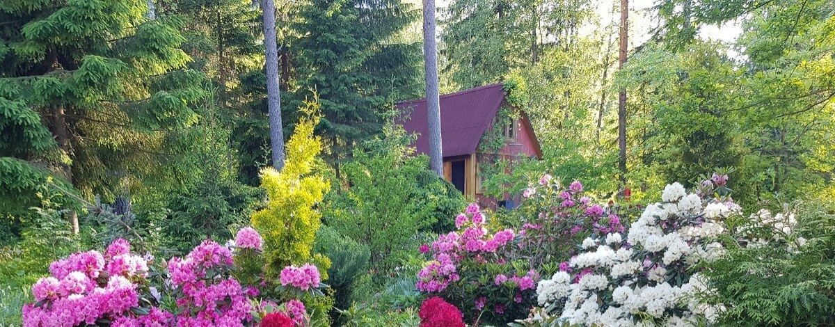 Елена Лобазова. Песни на мои стихи (Suno AI)