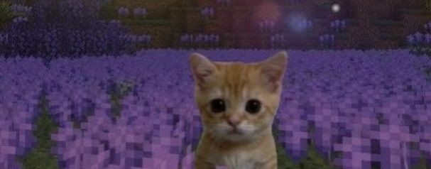 rutube_account_17767907