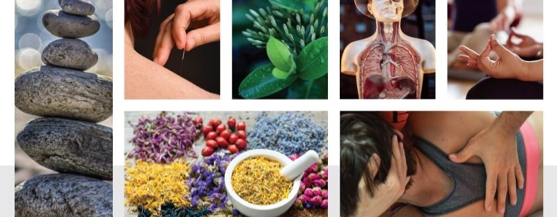 Экологичное здоровье с Татьяной Гармониум