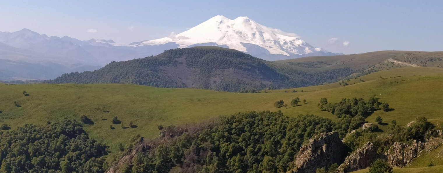 Пихтовый лес