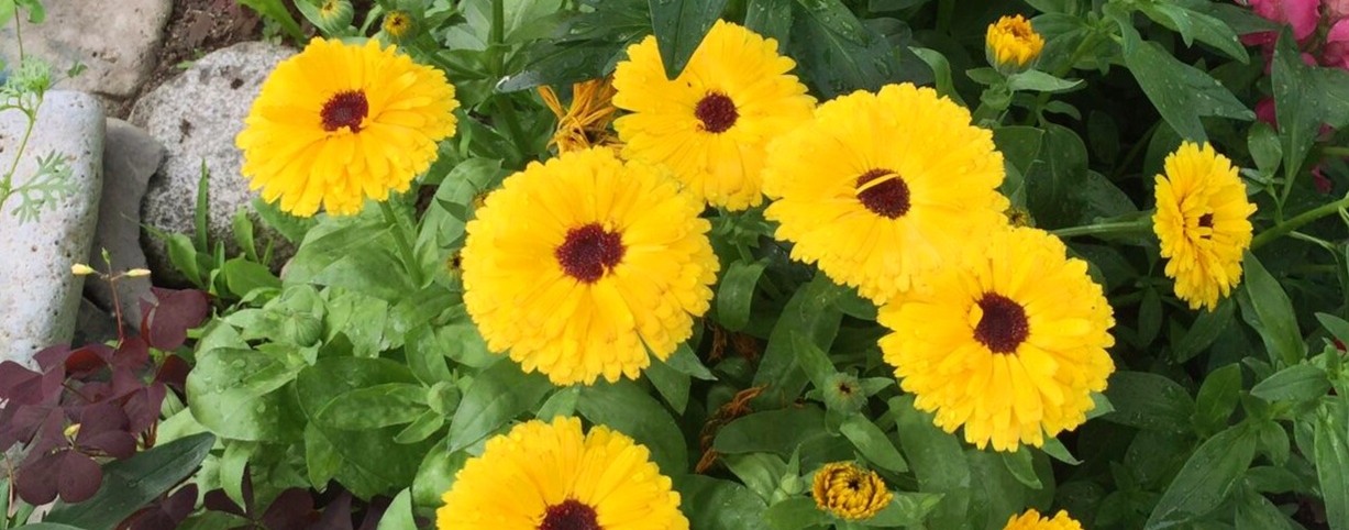 ПРОСТАЯ ЖИЗНЬ.Марина✔