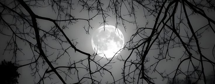 🔪🦇Страшные Истории🦇🔪