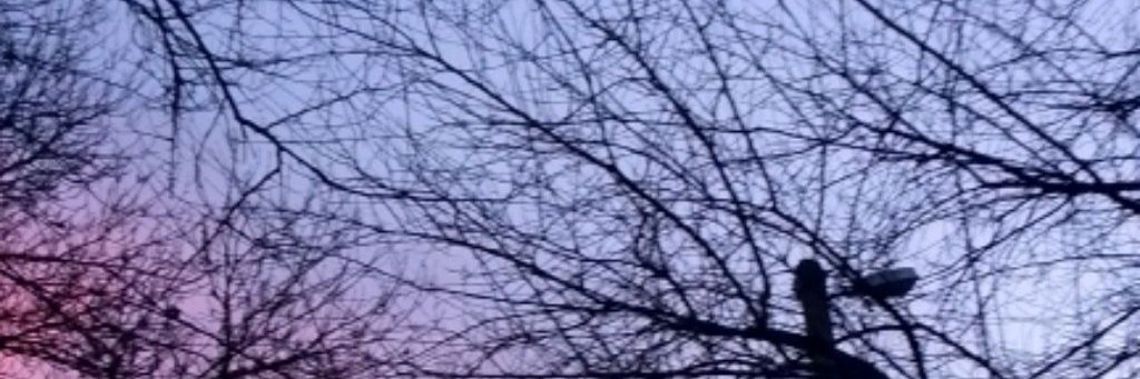 °человечек°