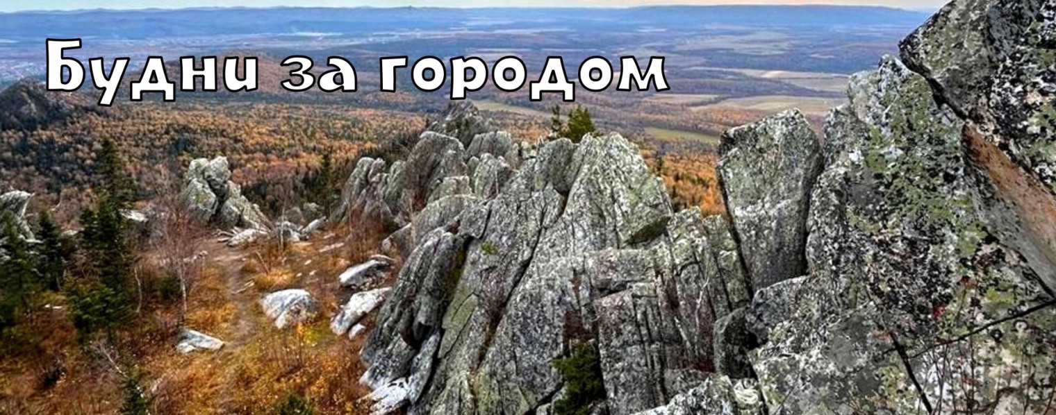 Будни за городом