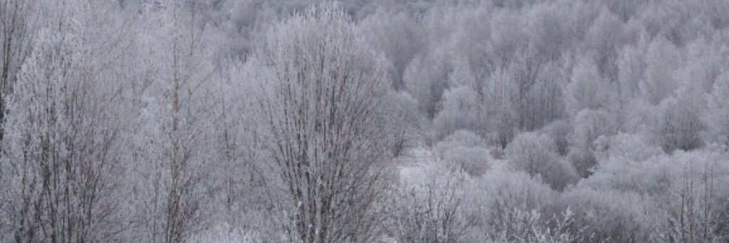 🧺🧸~𝐴𝑙ё𝑛𝑎 𝐸𝑠𝑡ℎ𝑒𝑡𝑖𝑐 𝑓𝑎𝑚𝑖𝑙𝑦~🧸🧺