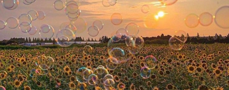 Пикс Полина