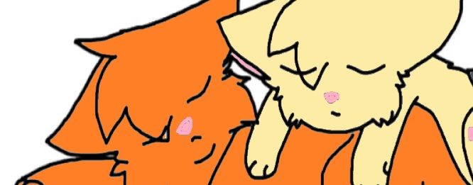 Оливоглазка КВ