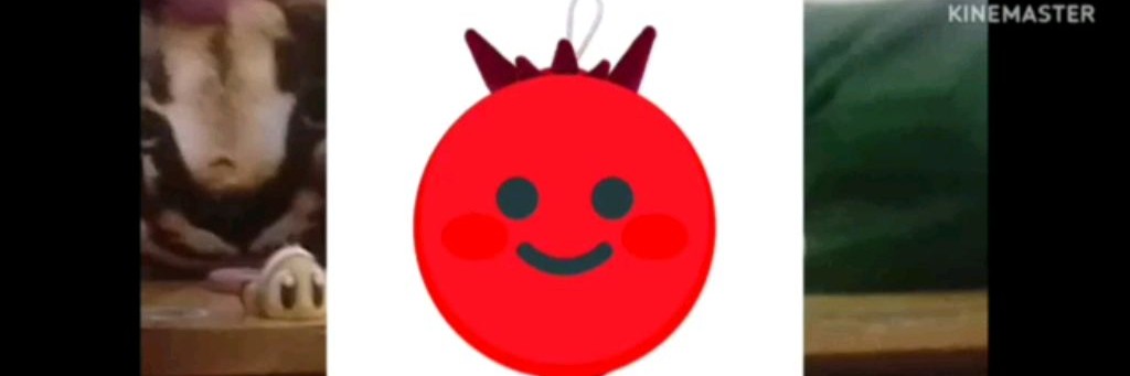 СУПЕР РАДДИ(1 МАРТ)