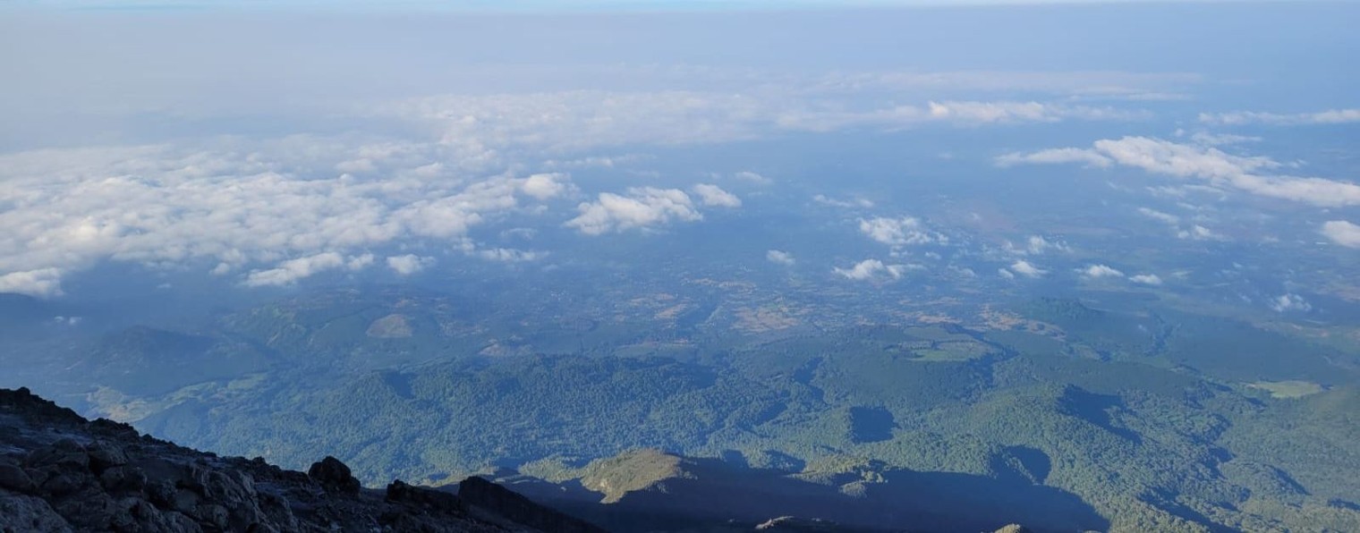 Поэт и песенник Нилова Светлана