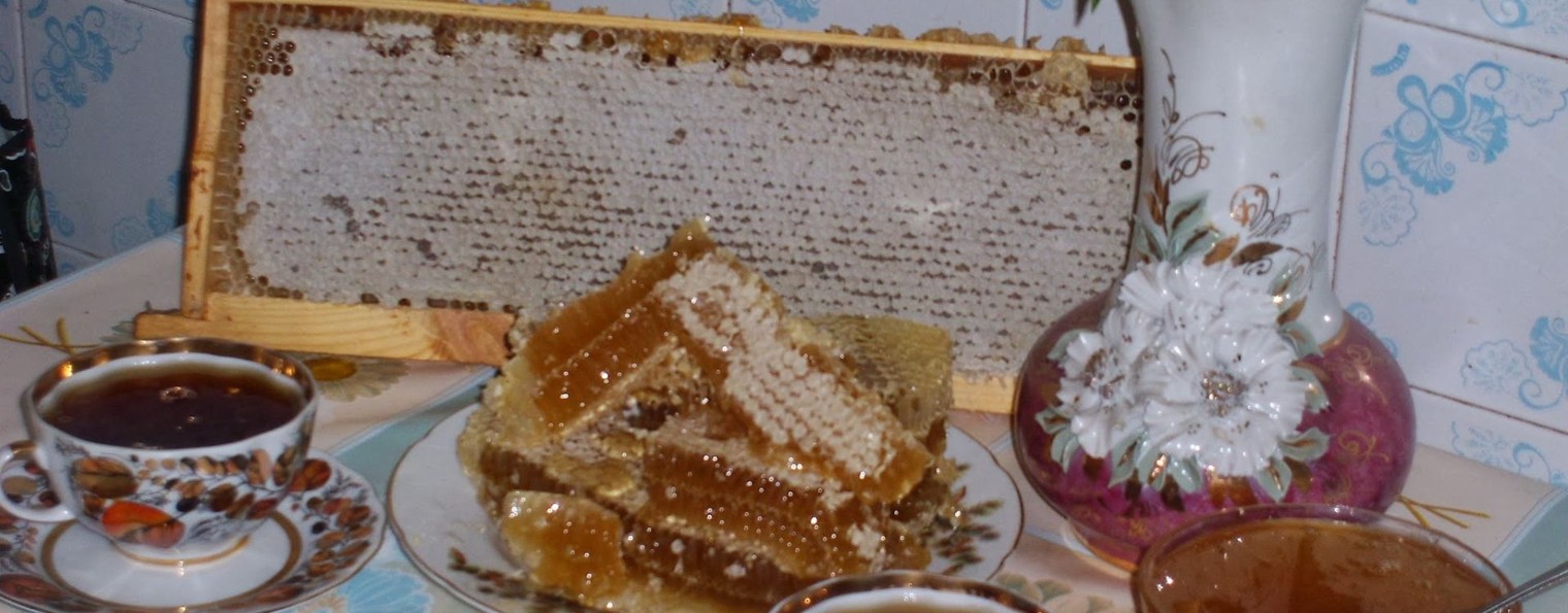 Петр Шмагин