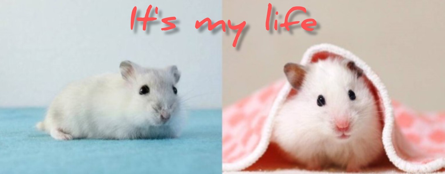 Алёнка life.🐹