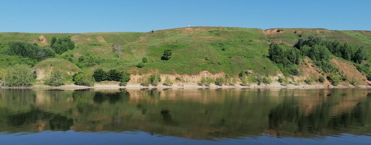 Видади Багишов