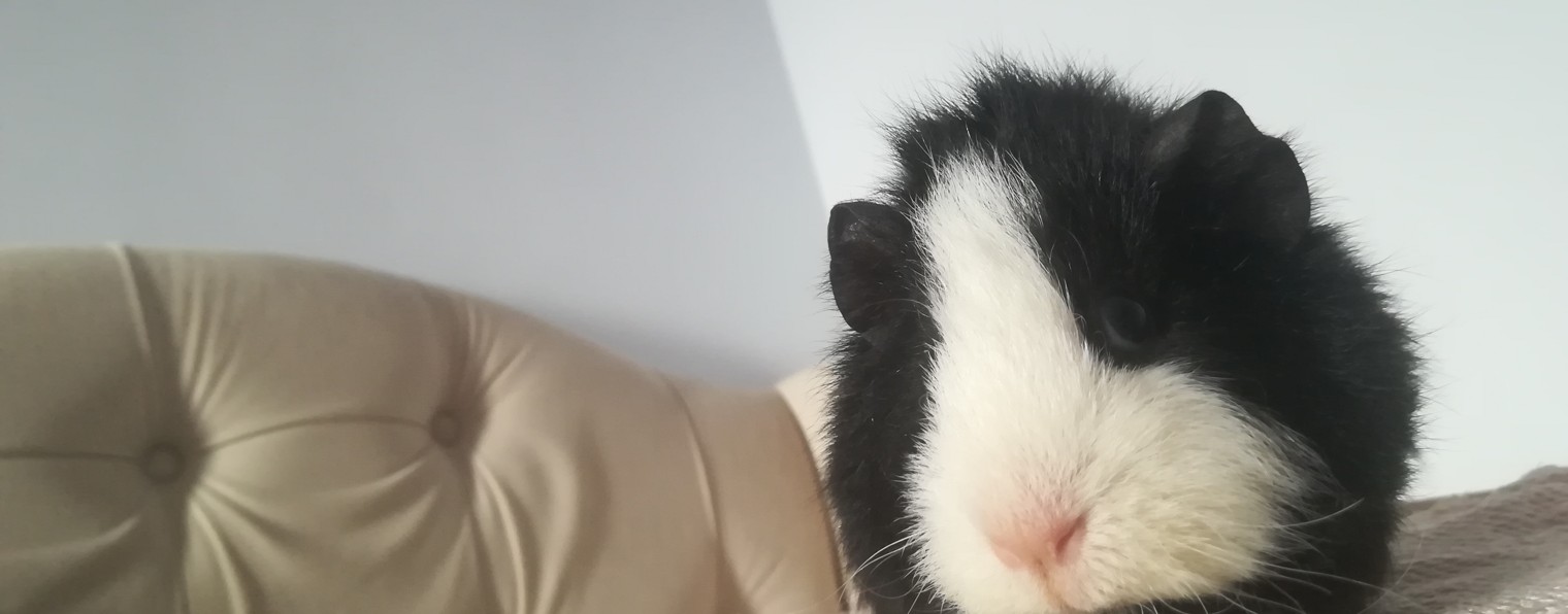 Ева И Айша Абакан