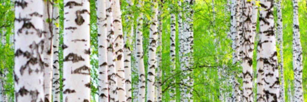 Андрей Ожогин Песни