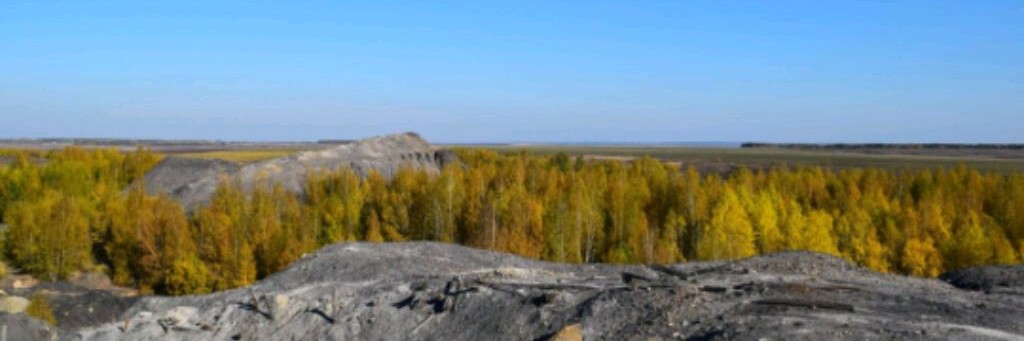 Шахов Алексей