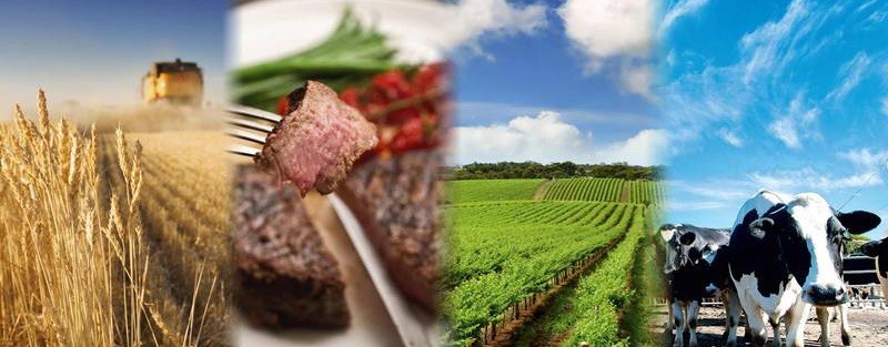 Откорм и Уход для КРС