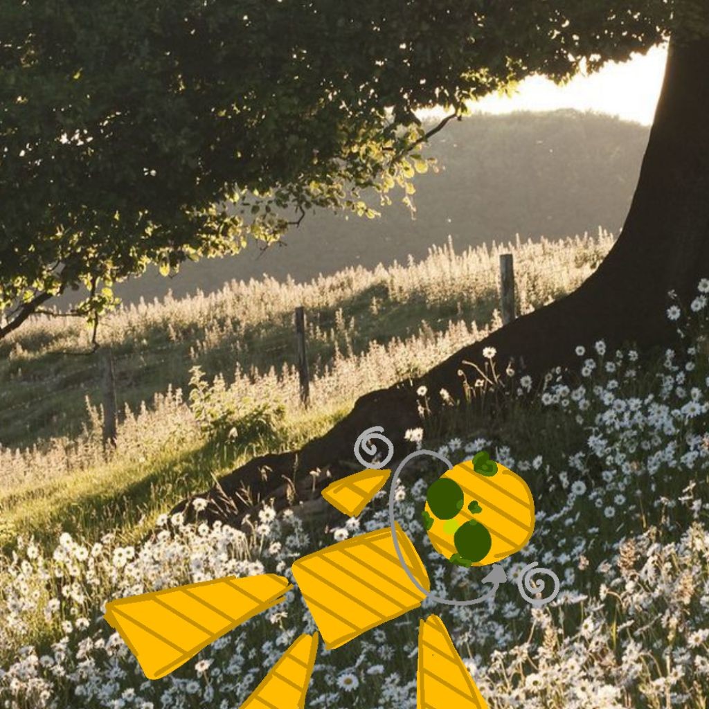 Твой Любимый Лук ﹤3