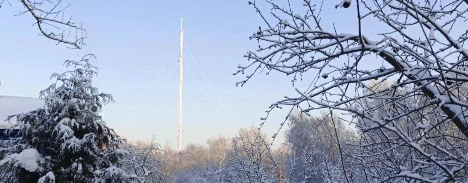 Россия - родина моя