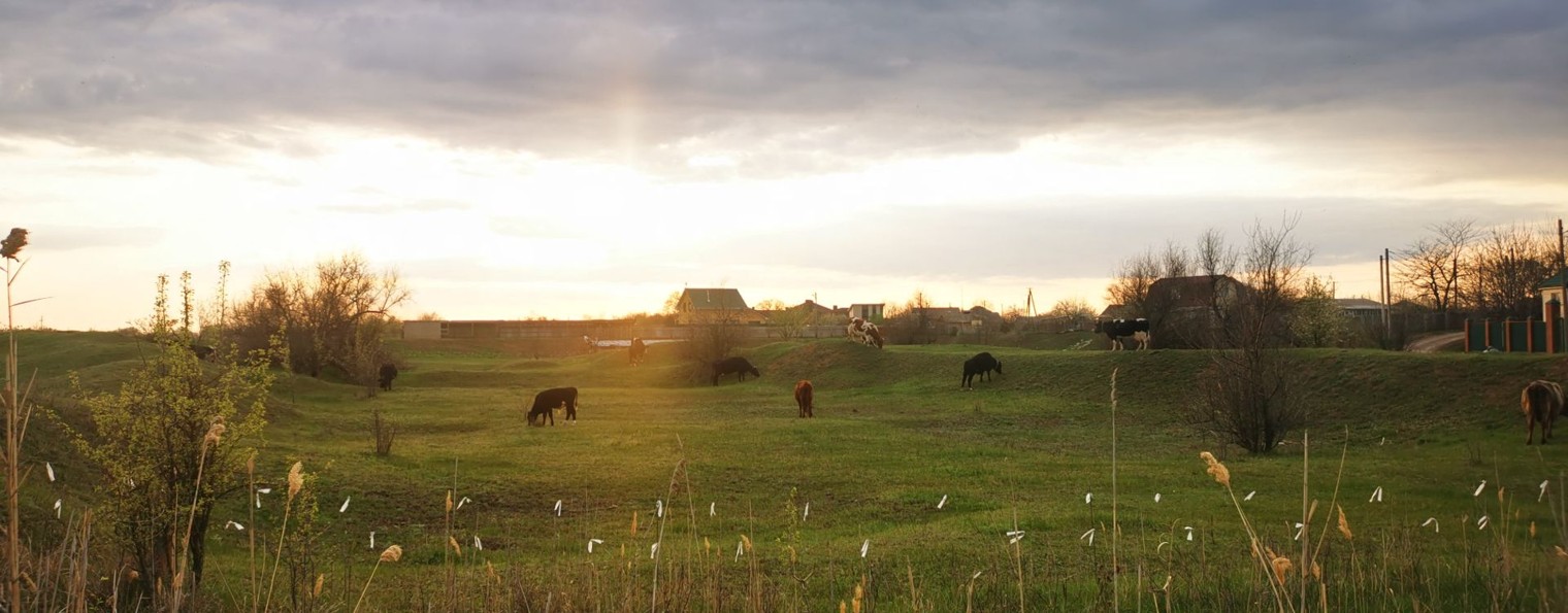 база бабушки Иры