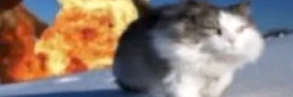 💗웃☾Vika☽유🍑 ☽Вьетнам☾🇻🇳🇻🇳 "Неделя Дозы🫀🩸🔪"